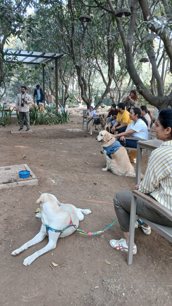 Dog Picnic- A day out at the farm with your pet - Ecoville